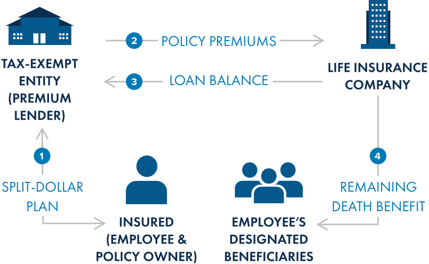 BoliColi powered by OneDigital